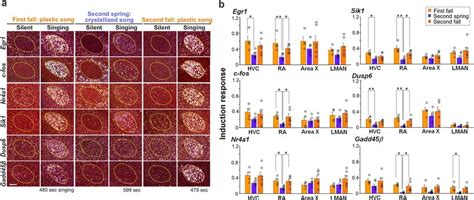 Differential Expression Of Singing Driven Iegs During The Fall And Differential Expression Of Singing Driven Iegs During The Fall And