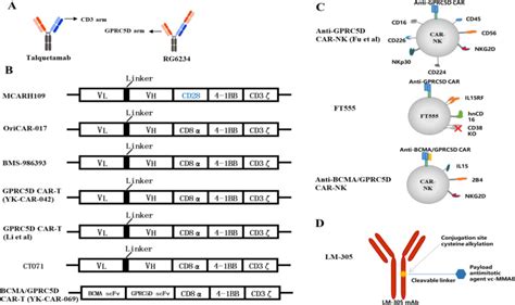 Targeting Gprc5d For Multiple Myeloma Therapy Pmc