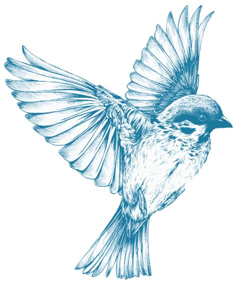 Thanks Clipart Bird Picture 2124223 Thanks Clipart Bird