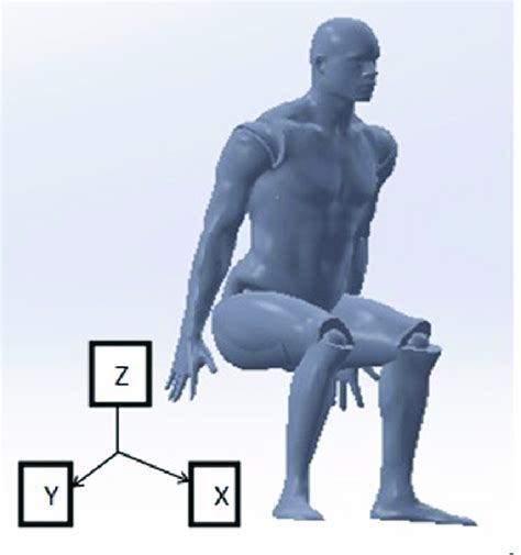 Directions In Which Acceleration Are Applied Download Scientific Diagram