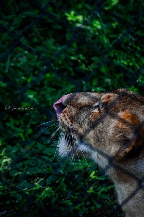 Siva Murugan On Linkedin Photography