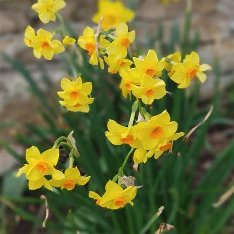 Dan Henning From This Report Park Attributes These Facebook