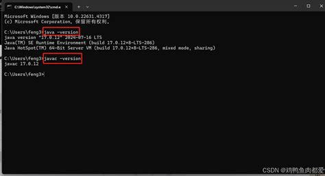 jdk安装与环境配置 jdk17 0 12 csdn博客