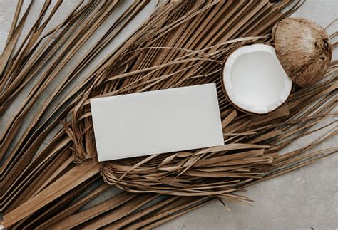 여름 문구는 여전히 빈 종이 카드 신선한 코코넛과 돌 배경에 마른 야자수 잎생활 최소한의 보헤미안 모형 초대장 0명에 대한 스톡 사진 및 기타 이미지 Istock