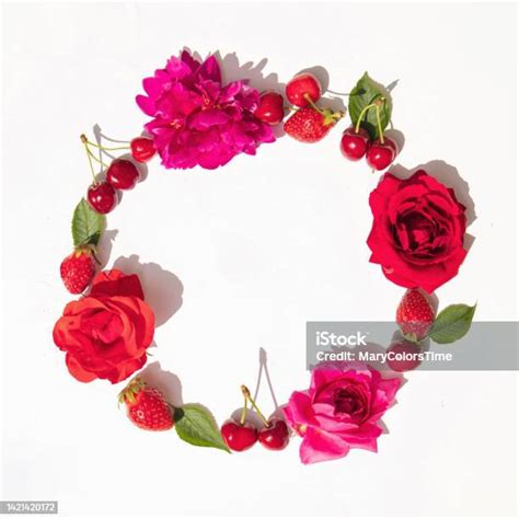 화려한 빨간색과 분홍색 장미와 모란 딸기와 체리가 흰색 배경에 있습니다 창조적 인 자연 개념입니다 복사 공간이있는 최소한의 여름