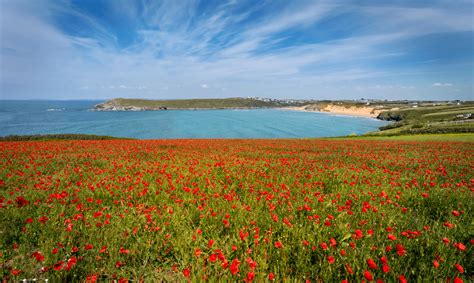 The Poppies Are Out A Stunning Coastal Walk Through West Pentires