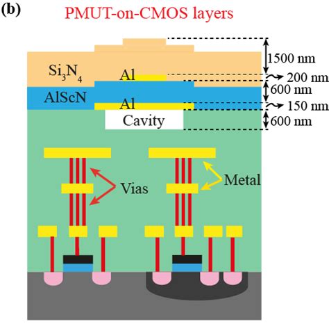 A Top Block Diagram Of The Proposed Pmut On Cmos Hydrophone Bottom