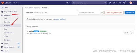 Gitlab设置及取消保护分支gitlab取消分支保护 Csdn博客 Gitlab设置及取消保护分支gitlab取消分支保护 Csdn博客