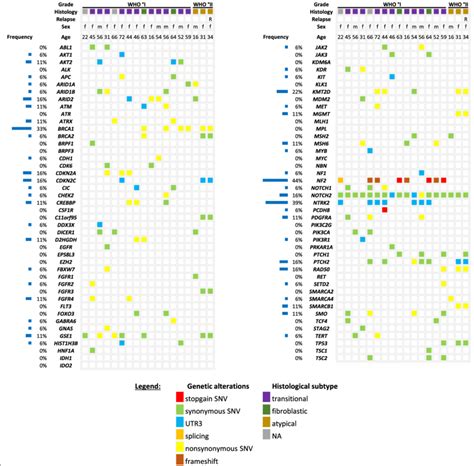 Gene Panel Tabularly Overview Of All Investigated Genetic Alterations Download Scientific