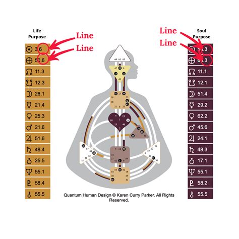 Human Design Chart Explained Free Printable