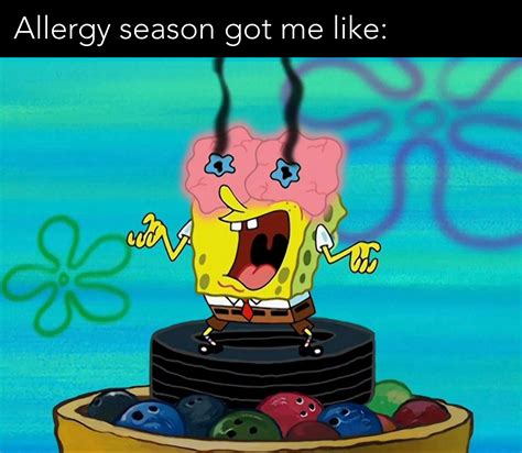 Every Spring The Same Thing R Bikinibottomtwitter