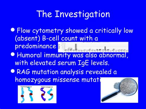 Consequences Of A Mutation On Rag Proteins Ppt Free Download