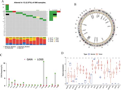 Landscape Of Gene Mutation And Cnv Of 18 Cuprotosis Genes In Lgg A