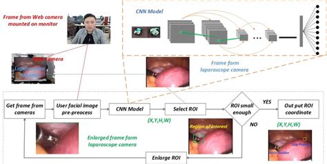 Overview Of The Proposed Eye Tracking Algorithm The User Can Select Download Scientific
