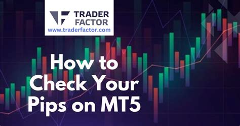 How To Check Your Pips On Mt5