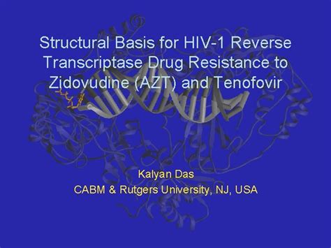 Structural Basis For Hiv1 Reverse Transcriptase Drug Resistance