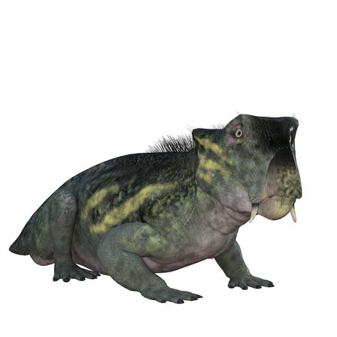 Lystrosaurus