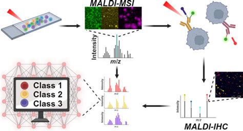 Molecular Profiling Of Glioblastoma Patient Derived Single Cells Using Combined Maldi Msi And