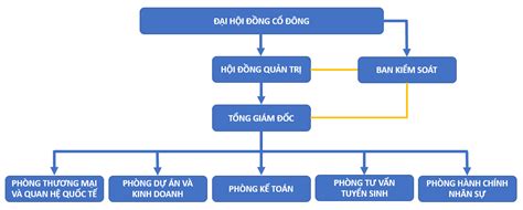 GIỚI THIỆU VỀ CÔNG TY
