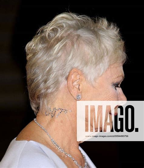 Dame Judith Dench Hairstyle