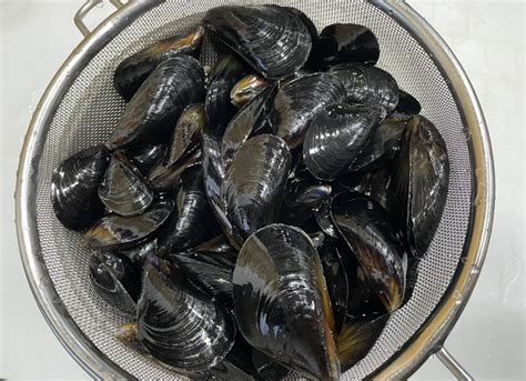 크리스마스 파티요리 추천 ~고소하고 시원한 국물요리 ~프렌치 스타일 화이트와인 크림소스 홍합스튜 만드는법