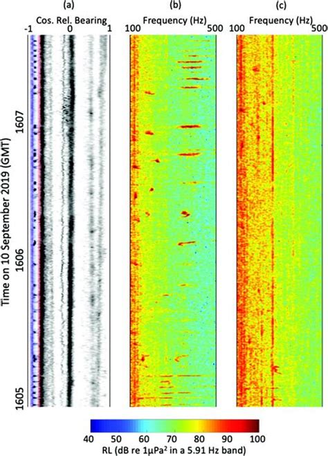 A Wave Glider Based Towed Hydrophone Array System For Autonomous Real Time Passive Acoustic