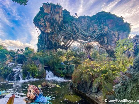 A Dfb Favorite Treat Is Back In Animal Kingdom But Not For Long