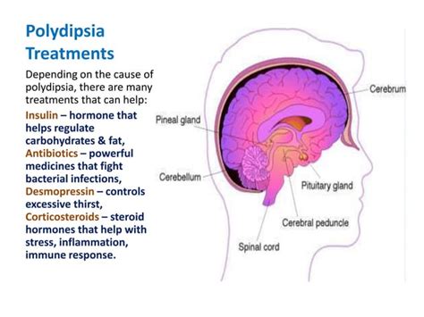 Ch 11 Polydipsia Pptx