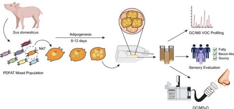 Pythag Tech On Linkedin Chemical And Sensory Analyses Of Cultivated