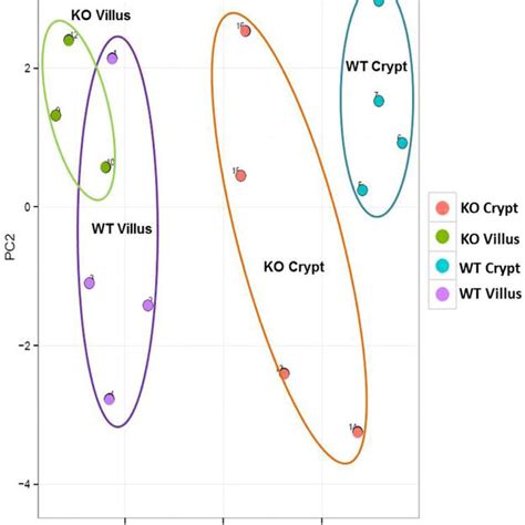 Isolation Of Villi And Crypt Epithelial Cells Of The Jejunum From Bl 6
