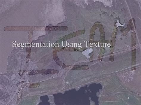 Segmentation Using Texture 1 Project Description L Input