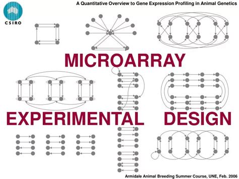Ppt Microarray Powerpoint Presentation Free Download Id6143620
