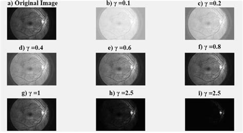 Transformed Images Of Different Gamma Values Download Scientific Diagram