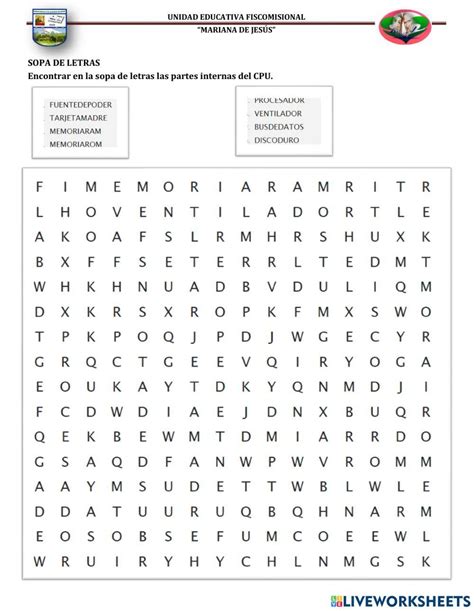 Partes Internas Free Interactive Worksheets 1065235