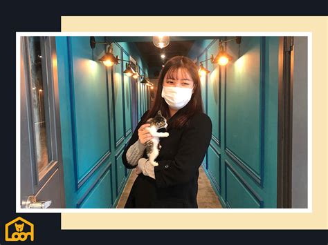 코리안숏헤어 책임분양 울산강아지분양 요크셔테리어분양가 새끼강아지분양 잉글리쉬불독 천안고양이분양 가정강아지분양 강아지입양 보더콜리 빅토리아펫보호소 입양완료