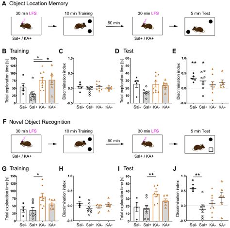Effects Of Hippocampal Lfs On Short Term Object Location Memory And Download Scientific Diagram