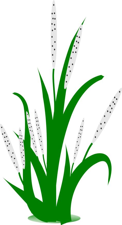 Grass Leaves Clipart 31394817 Png