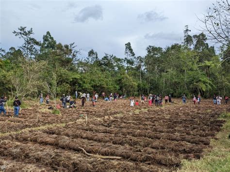 Sistema Territorial De Innovación