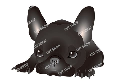 フレンチ・ブルドックのイラスト 2 カットショップ 画点