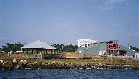 Alabama Aquarium At The Dauphin Island Sea Lab 2026 All You Must