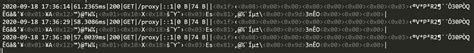 Access Log Content Encoding Error Issue Kataras Iris GitHub