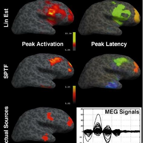 Source Time Course Used To Model The Temporal Behavior Of Each Source Download Scientific Diagram