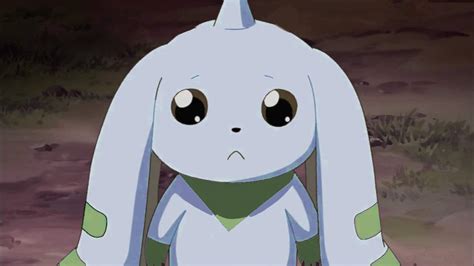 Digimon Fusion Edit Lopmon To Terriermon Digimon Amino