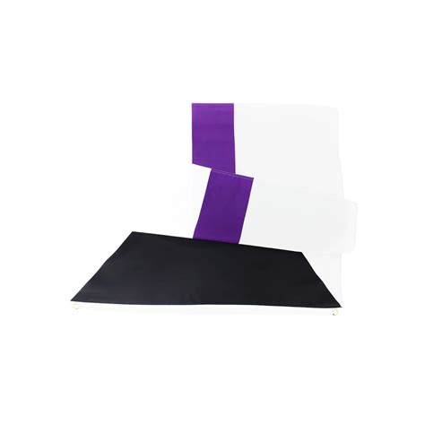 Demisexual Pride Flag Rainbow Republic