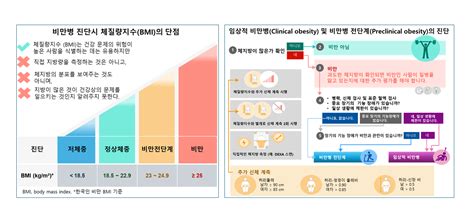 나 비만일까”bmi 외 허리둘레·엉덩이 비율 등도 고려해야