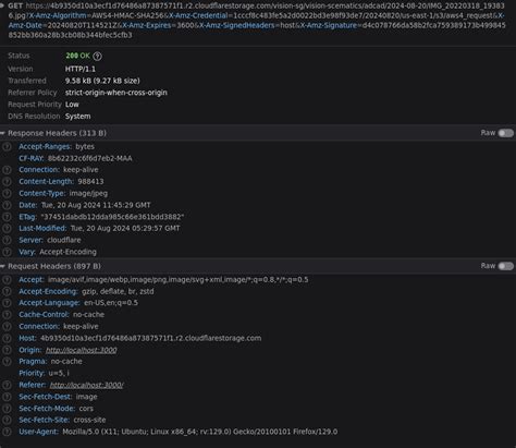 Cors Issue Access Control Allow Origin Header Missing Cloudflare Developers