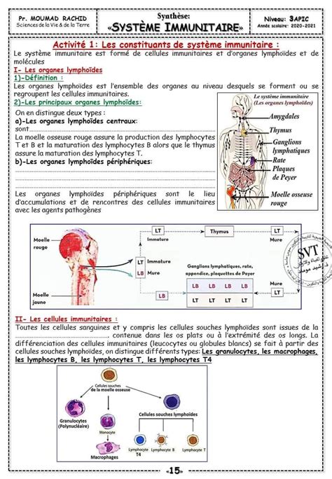 Le Système Nerveux Et Le Système Science Générale