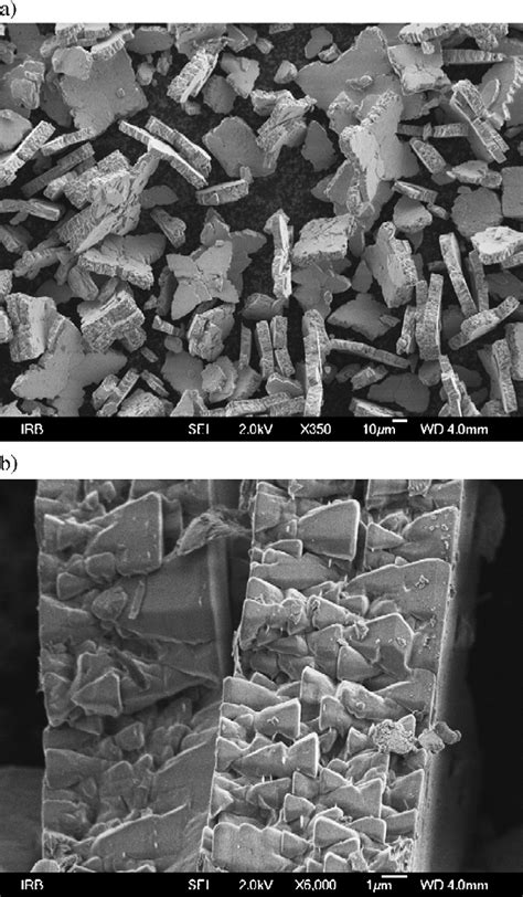 fe sem micrographs of sample b 5 two details a b download high