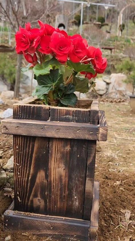 윈디가든72 On Instagram 뚝딱뚝딱 짠~~ 신랑손은 보배입니다 재활용목재를 활용한 가드닝 재활용목재활용