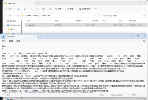 Ctfshow，misc入门 2 Csdn博客